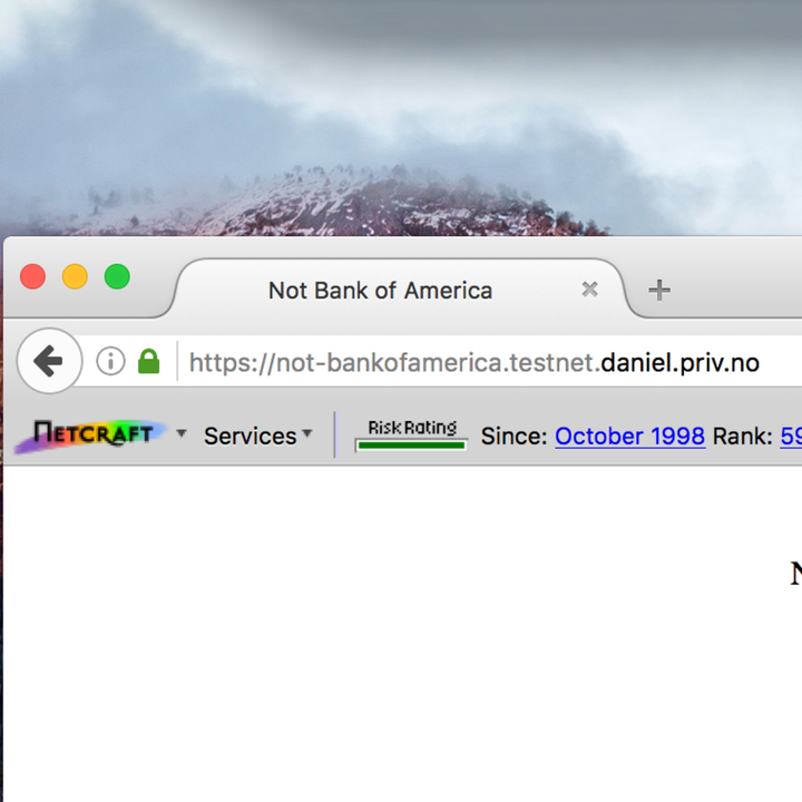 Netcraft anti-phishing toolbar breaks on IPv6 enabled networks
