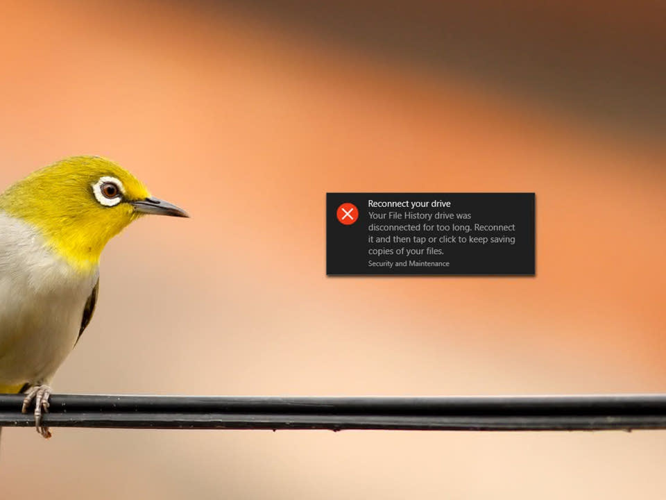 Fix the “Your File History drive was disconnected for too long” error